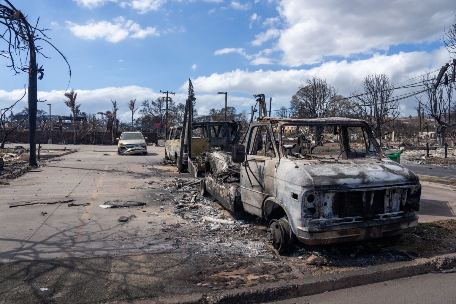 Supporting Maui Fire Victims - Greater Houston Community Foundation